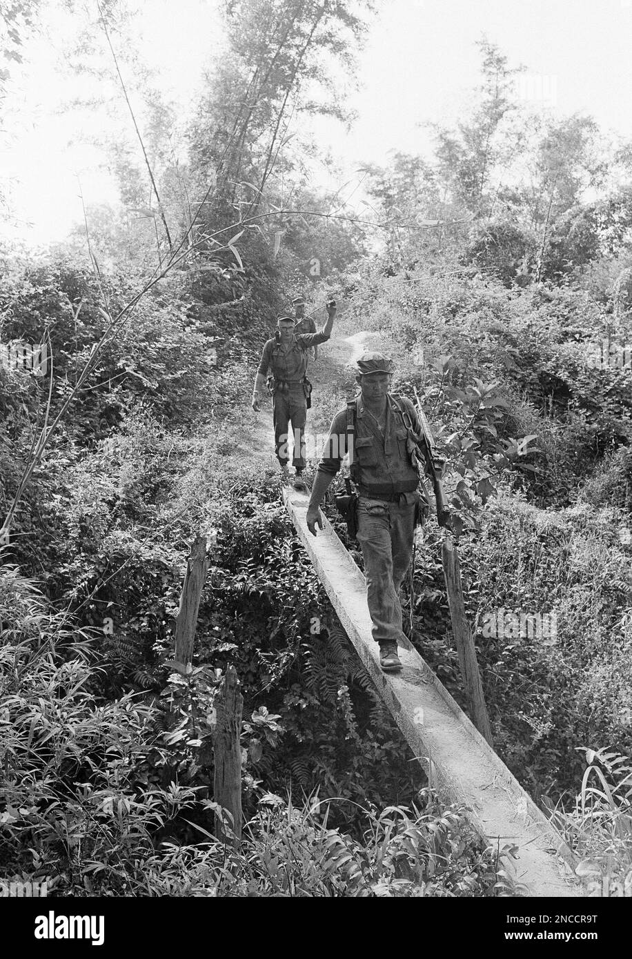U.S., Marines in their first action against communist Viet Cong since ...