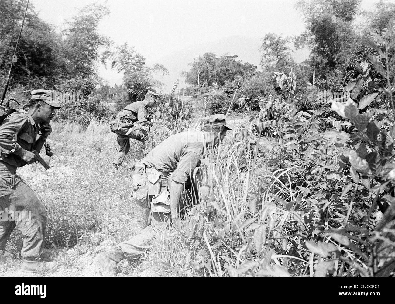 U.S. Marines in their first action against communist Viet Cong since ...