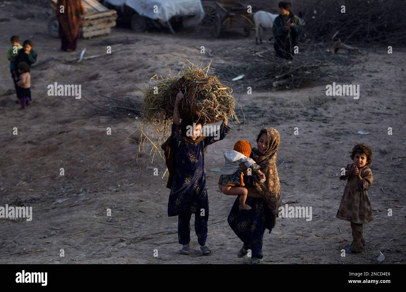 A Pakistani girl laughs with another while carrying wood over her head ...