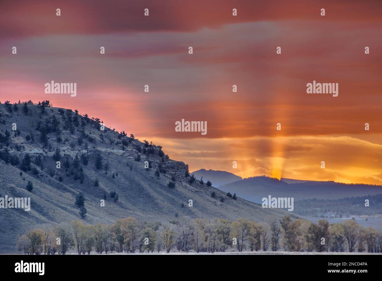 Sun rays from a rising sun illuminate the sky over Uhl Hill, Grand ...