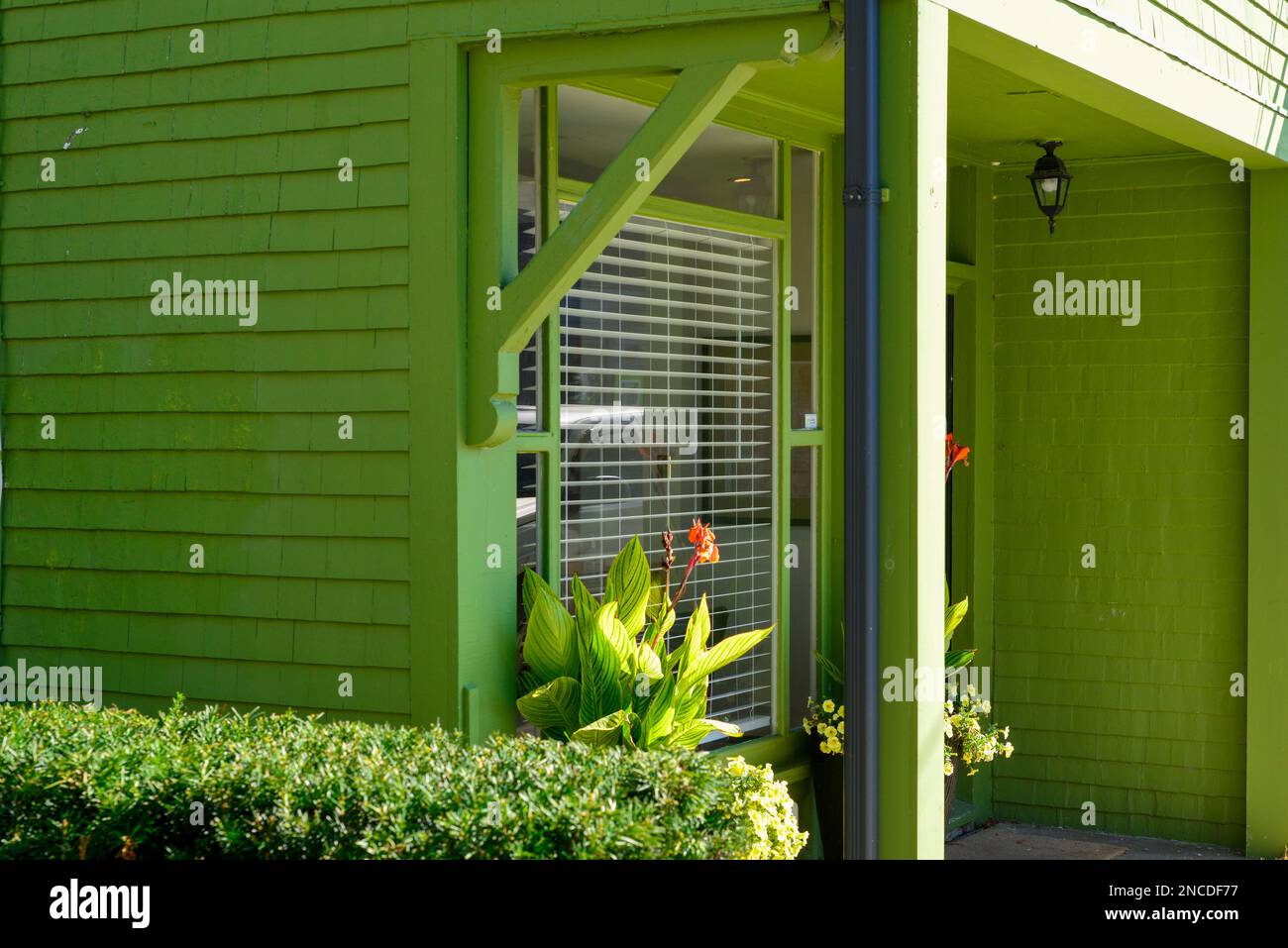 The entrance to a vibrant lime green painted building with a large ...