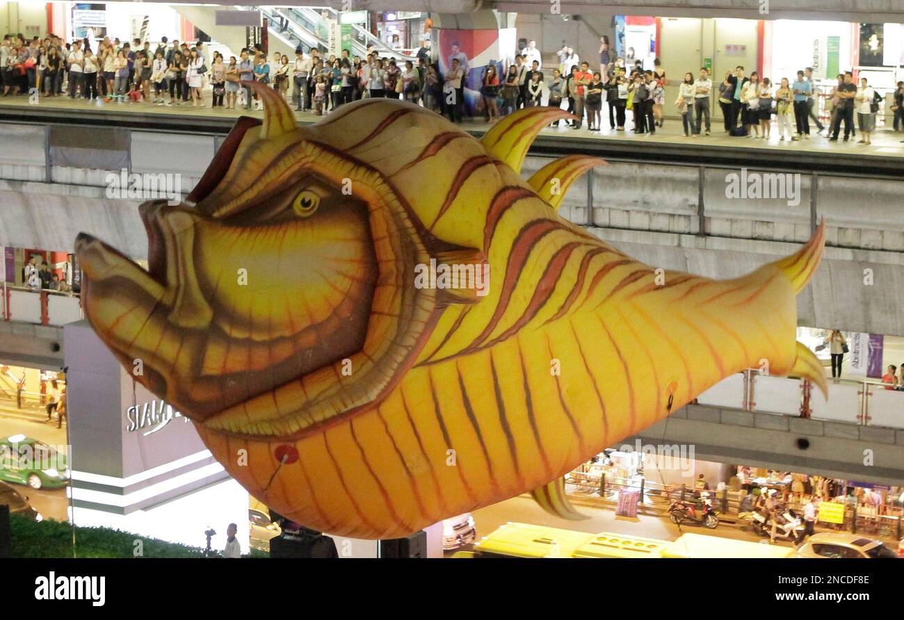 A giant fish balloon floats into the air during a celebration in the ...