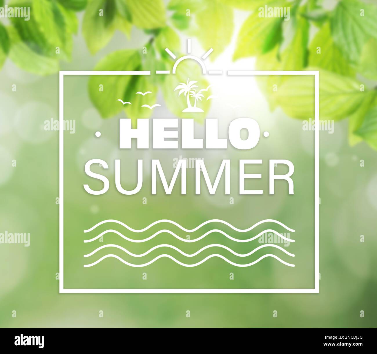 Hello Summer. Beautiful green leaves on blurred background Stock Photo ...