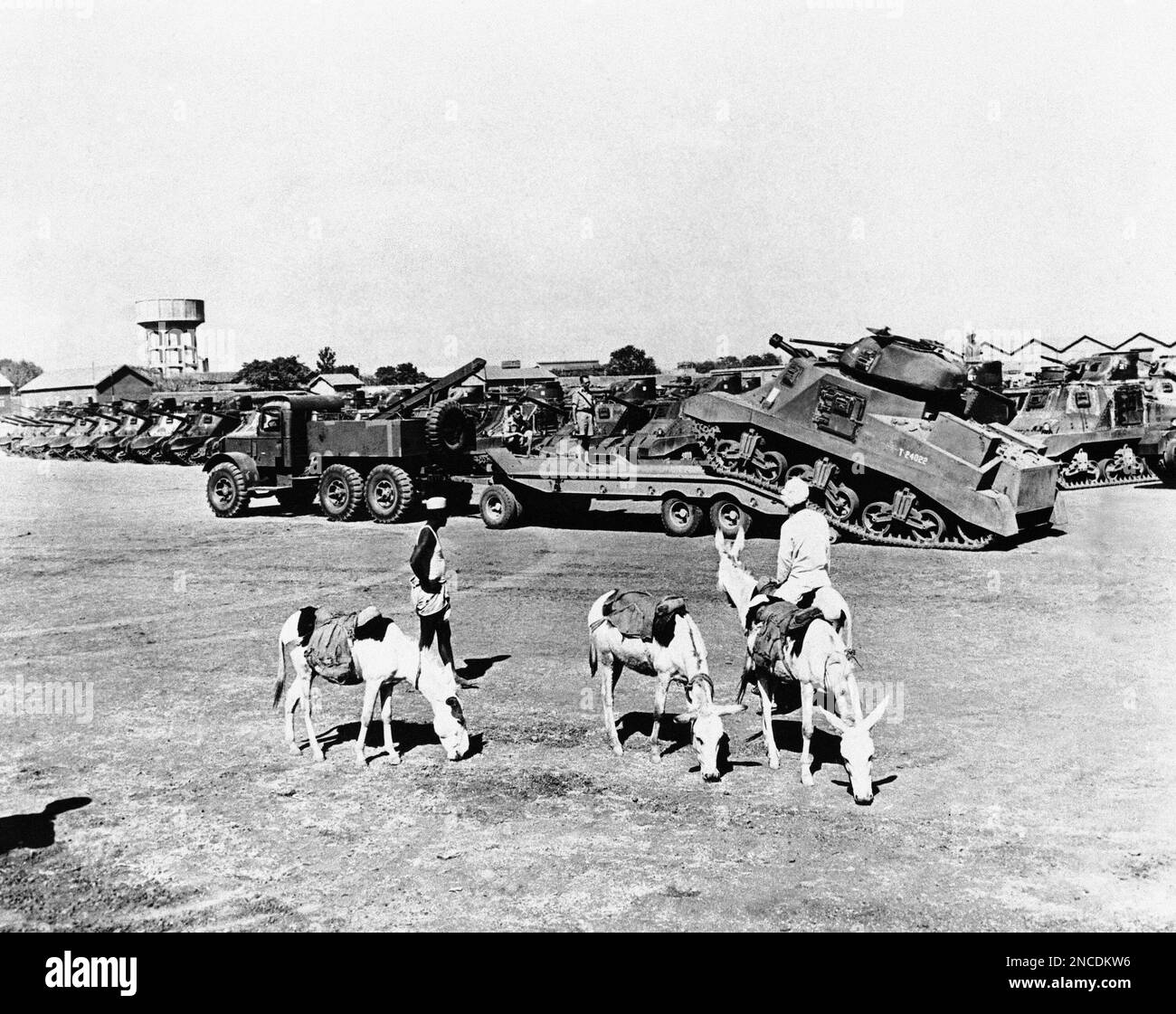 Indian travelers pause with their four-footed transportation to watch ...