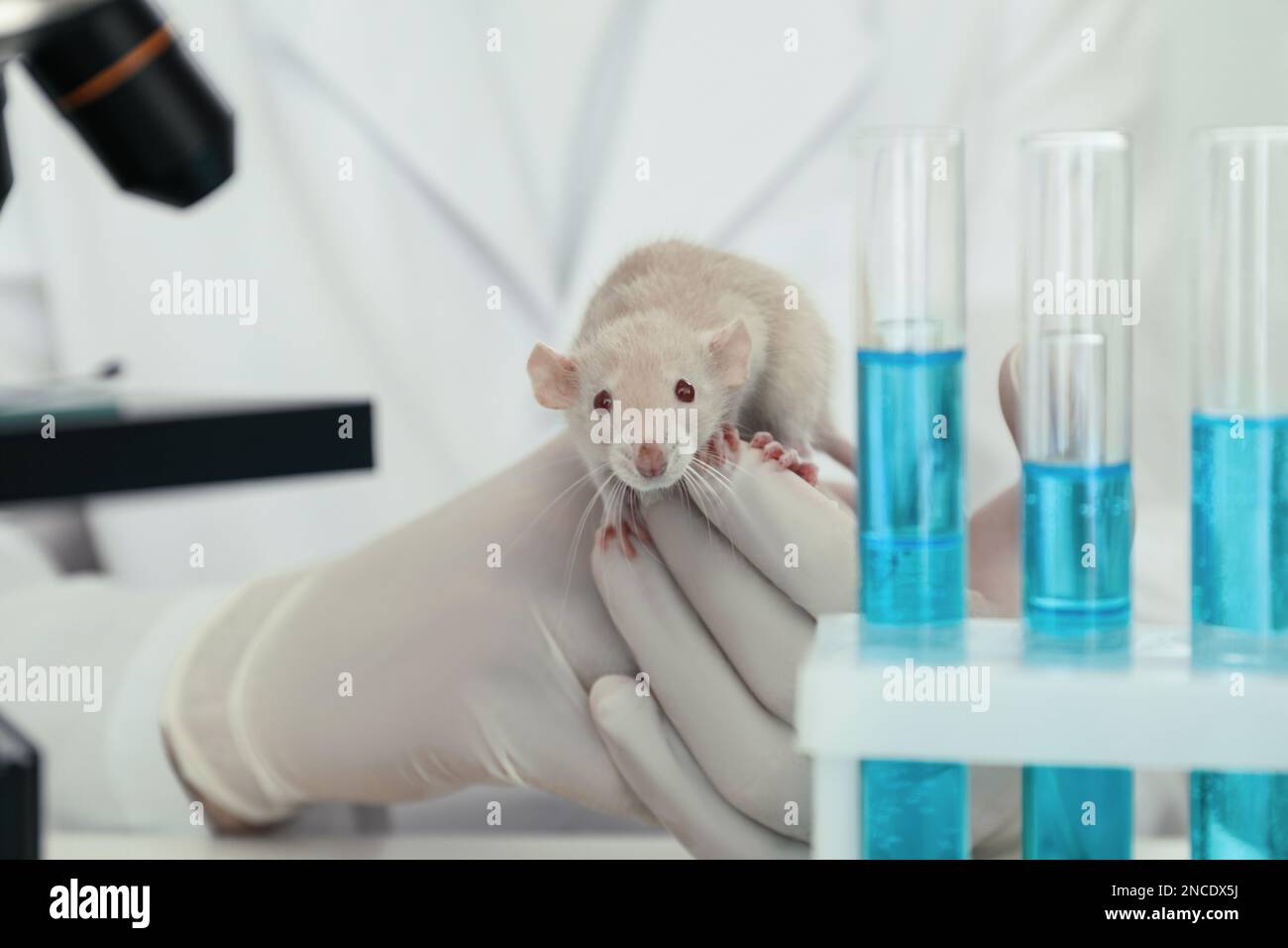 Rat man lab hi-res stock photography and images - Alamy