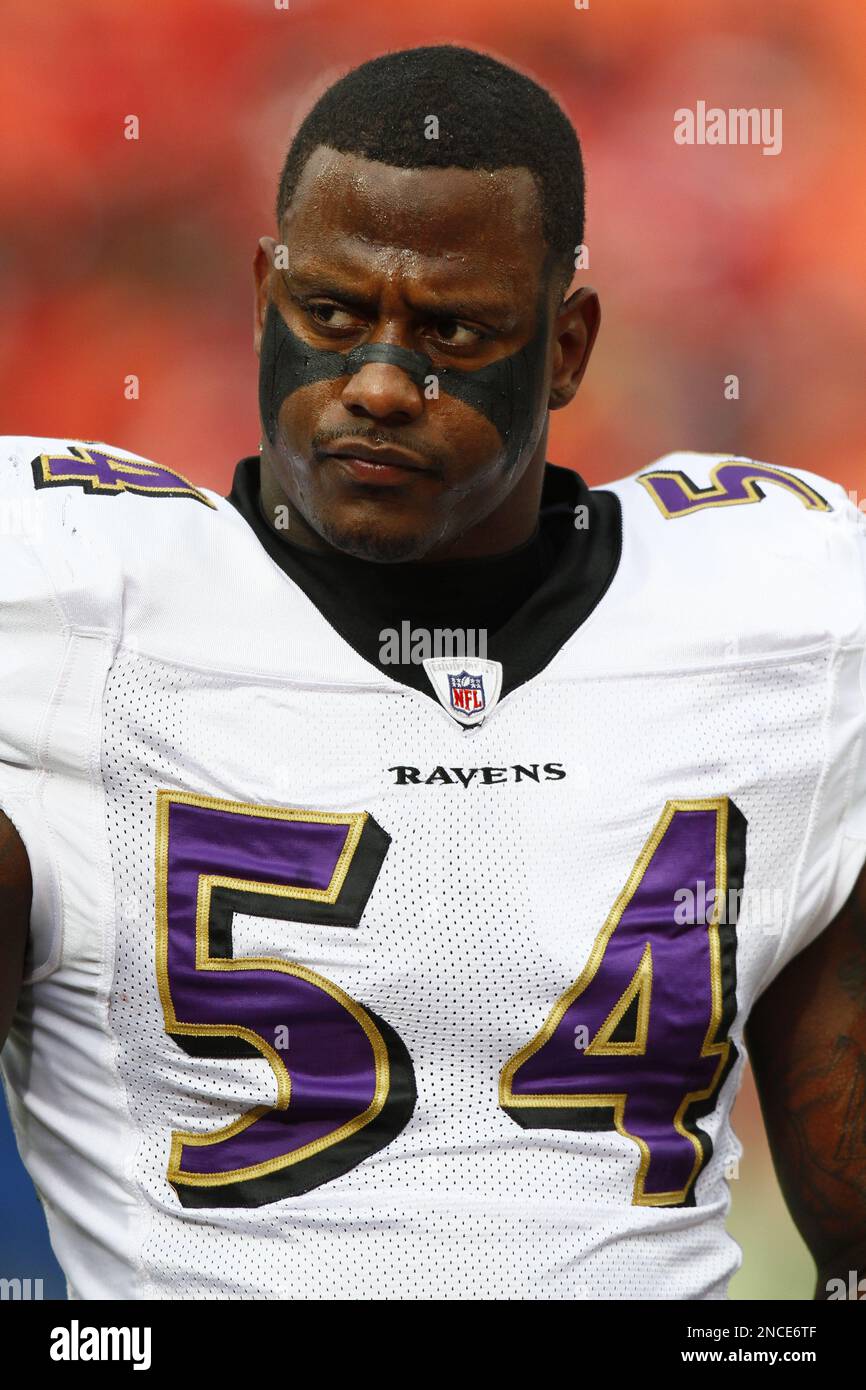 Baltimore Ravens linebacker Prescott Burgess (54) before an NFL AFC ...