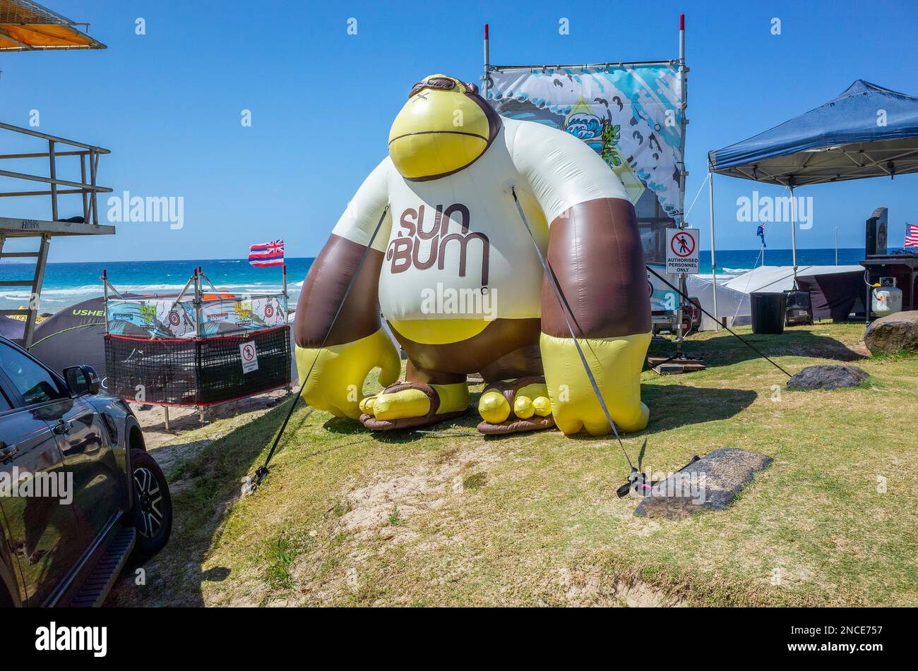 Sonny the ape hi-res stock photography and images - Alamy