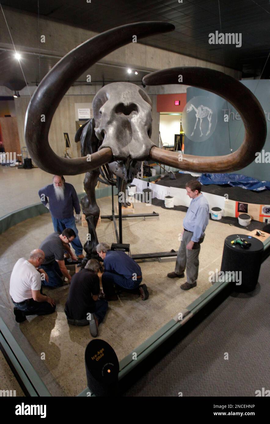 Curators and workmen at the Ohio Historical Society in Columbus, Ohio ...