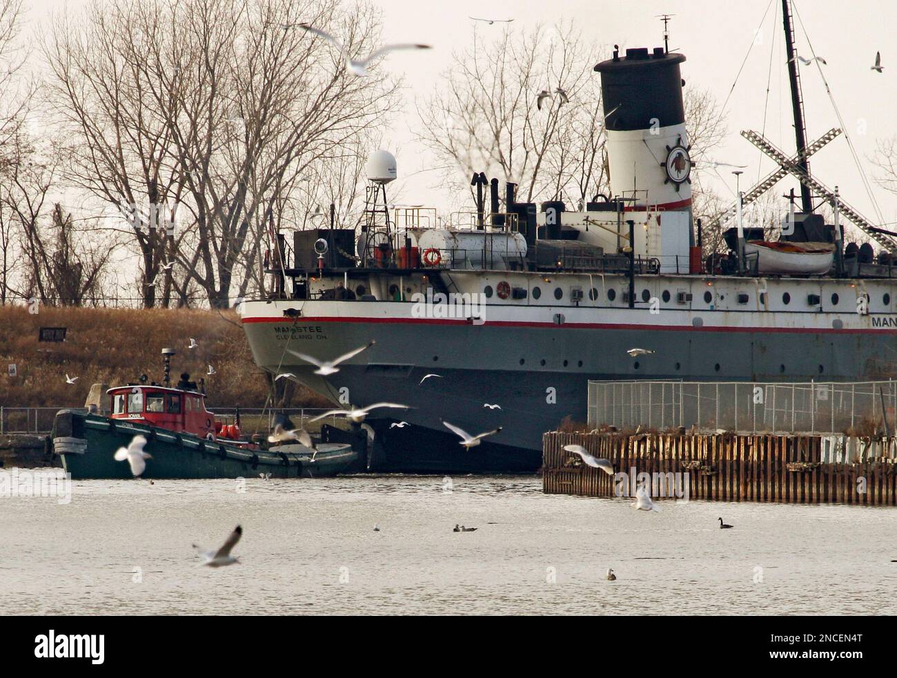 Gulls swirl above the water as a tugboat tows the 620 foot bulk ...