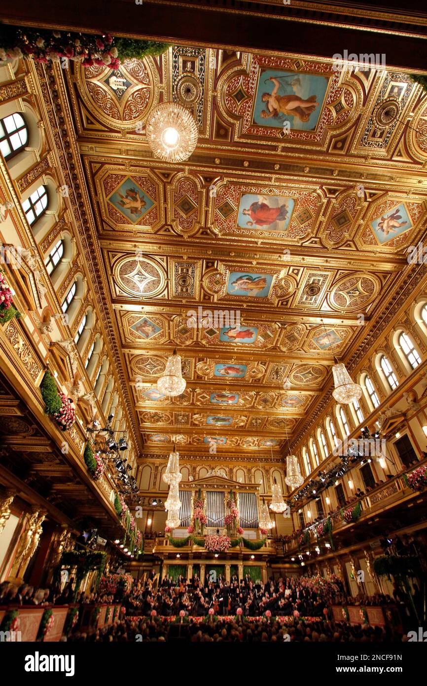 Overview of the Vienna Philharmonic Orchestra during the traditional ...