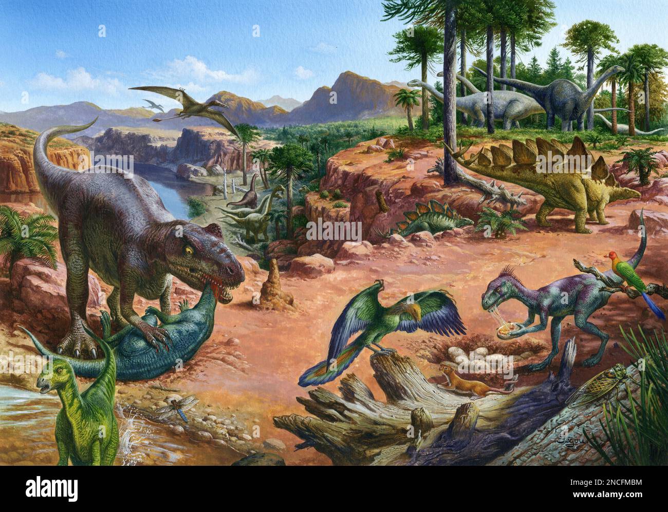 Jurassic scene, illustration Stock Photo - Alamy