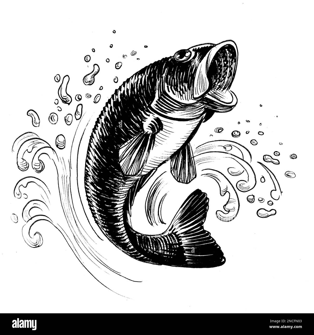 Jumping fish. Ink black and white drawing Stock Photo - Alamy Jumping fish. Ink black and white drawing Stock Photo - Alamy