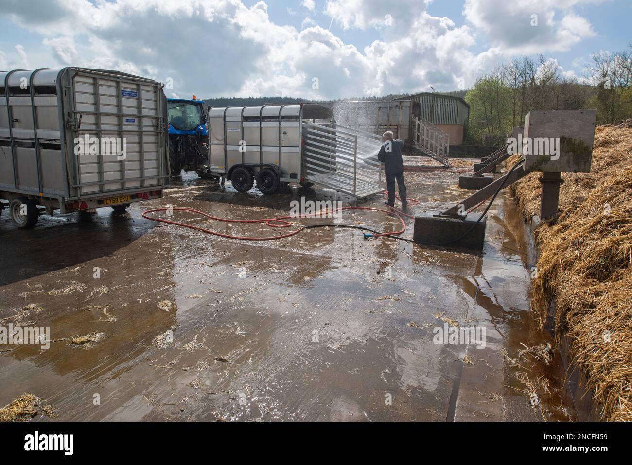 Farmer cleaning livestock trailer Stock Photo - Alamy