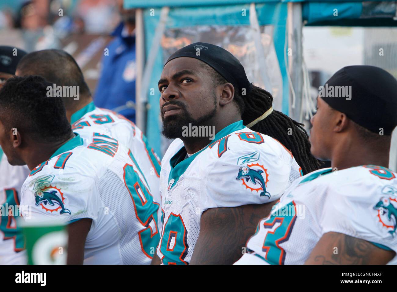 Miami Dolphins' Tony McDaniel during a Sunday, Dec. 26, 2010 NFL ...