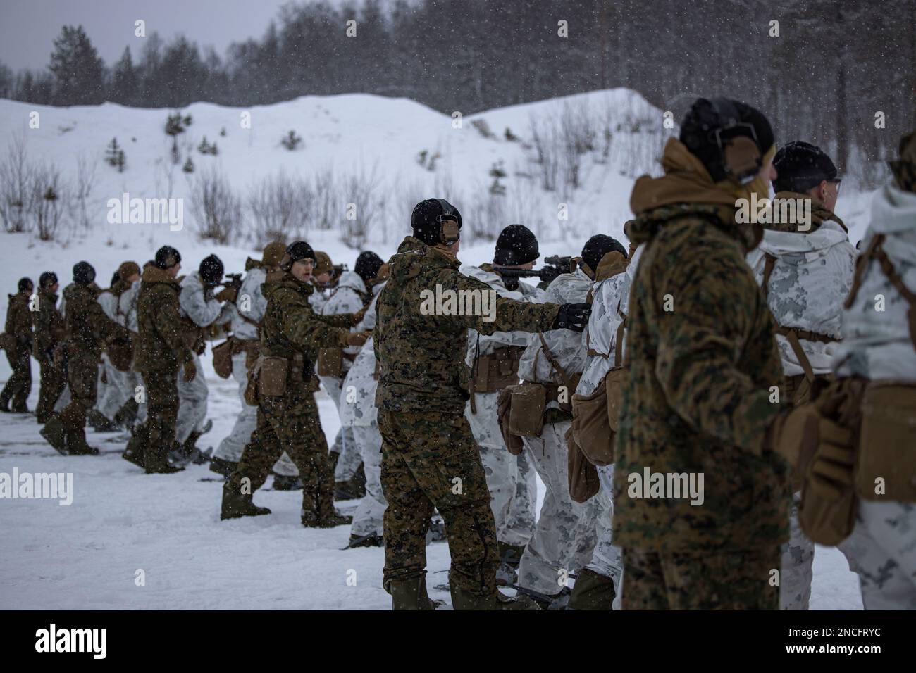 U.S. Marines with 2d Combat Engineer Battalion, 2d Marine Division ...