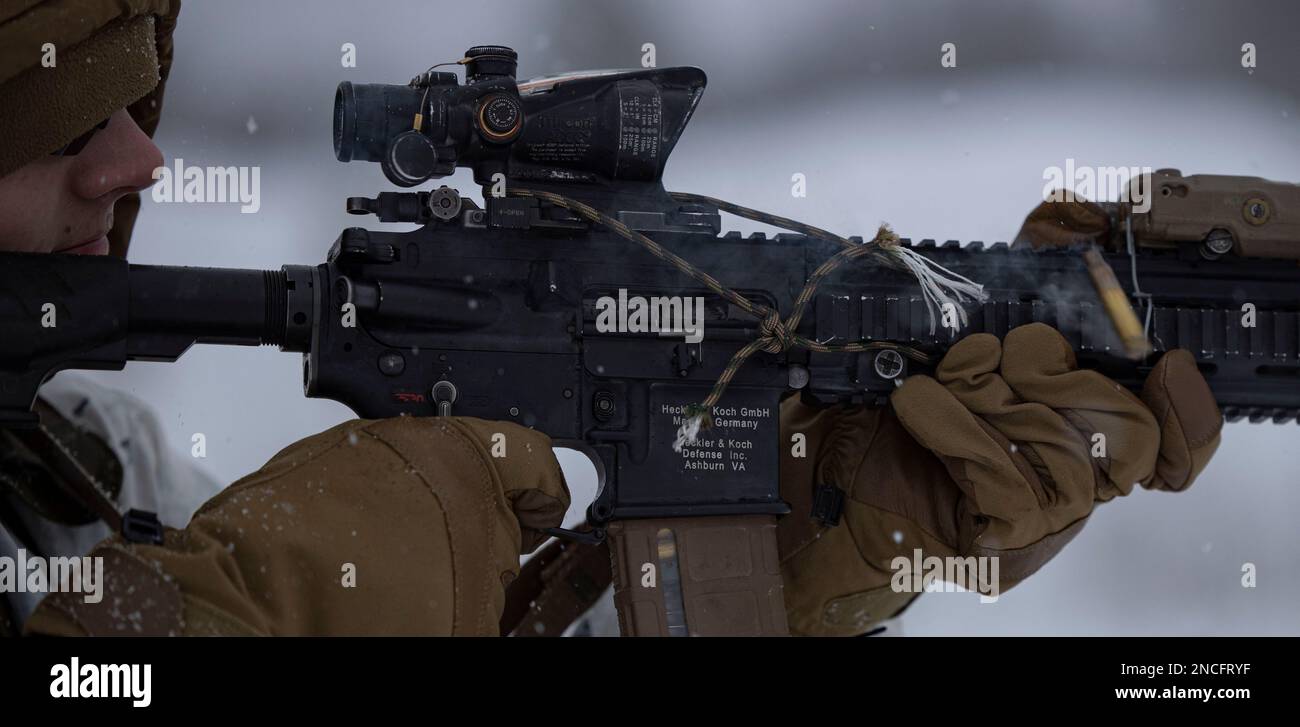 A U.S. Marine with 2d Combat Engineer Battalion, 2d Marine Division ...
