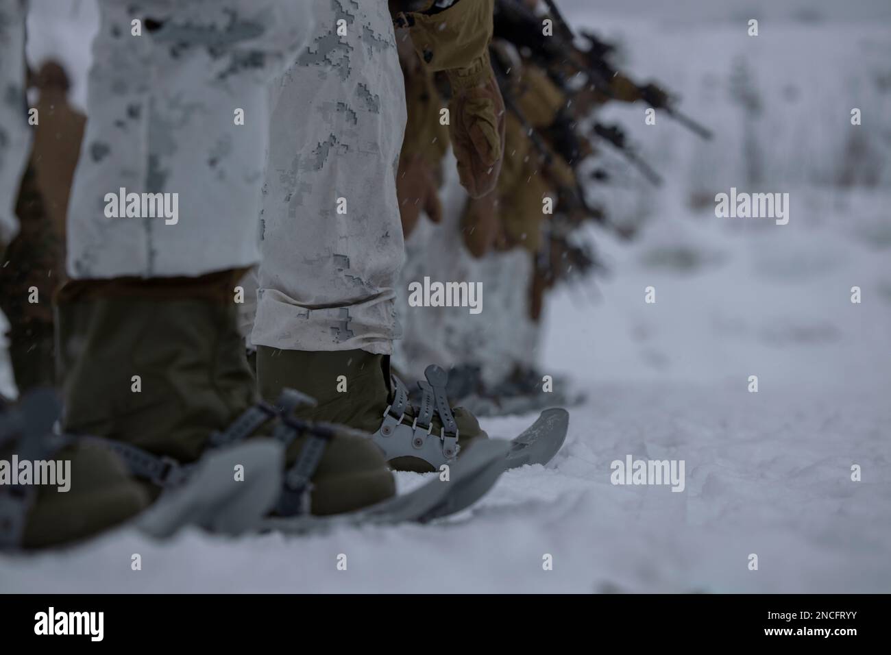 U.S. Marines with 2d Combat Engineer Battalion, 2d Marine Division ...