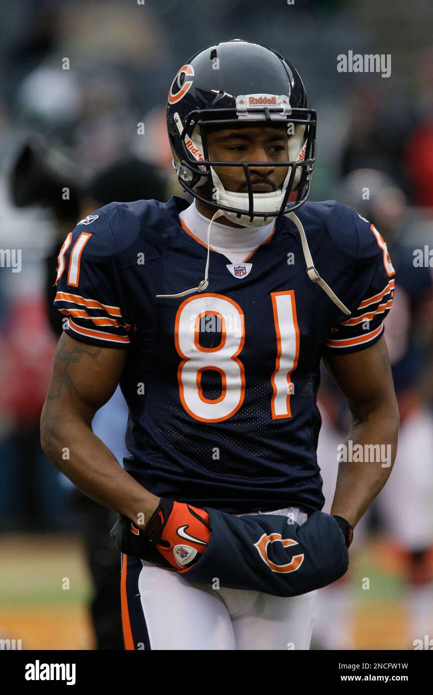 Chicago Bears wide receiver Rashied Davis (81) is seen before an NFL ...