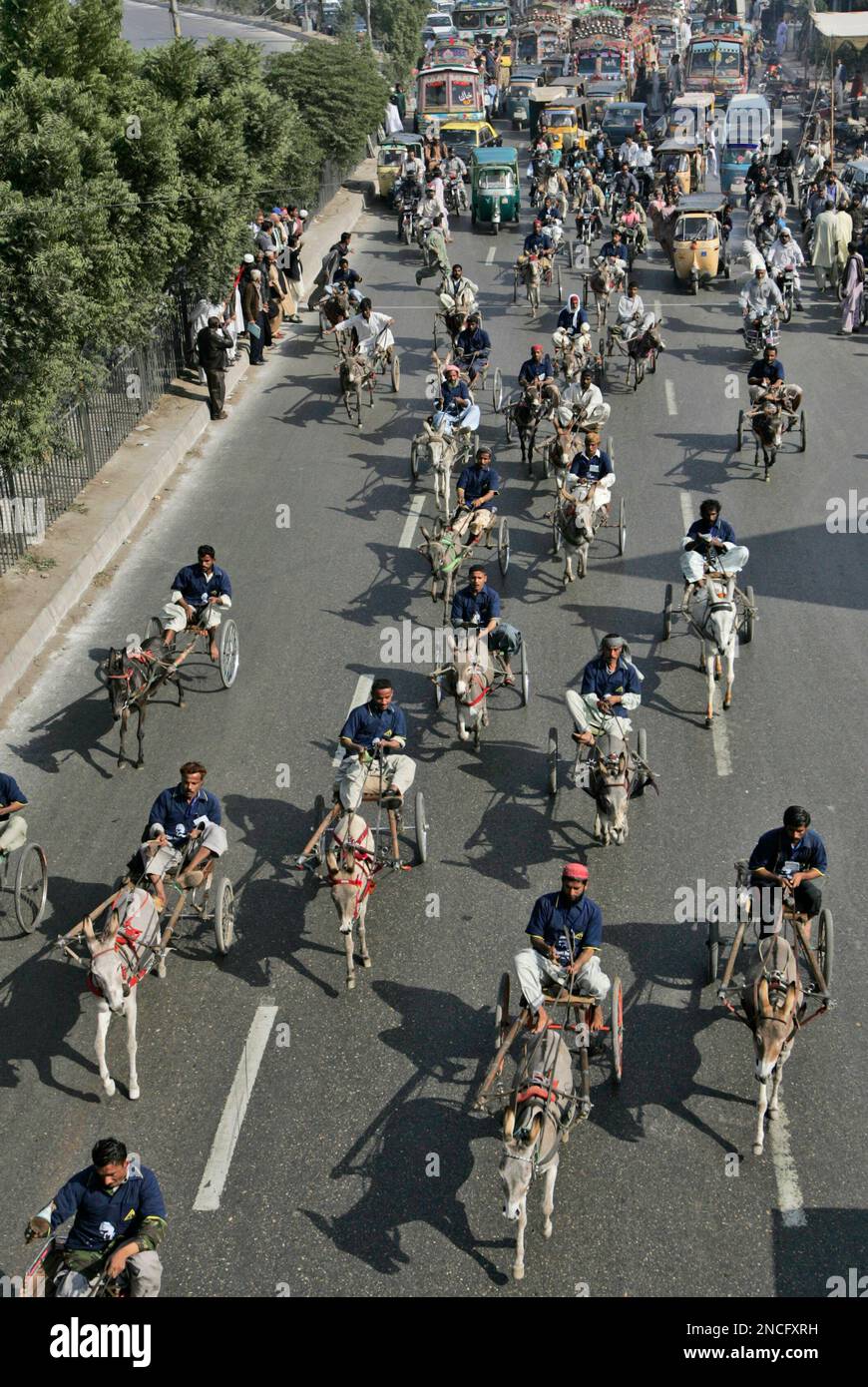 Pakistanis compete in a donkey race in Karachi, Pakistan, Saturday, Dec ...