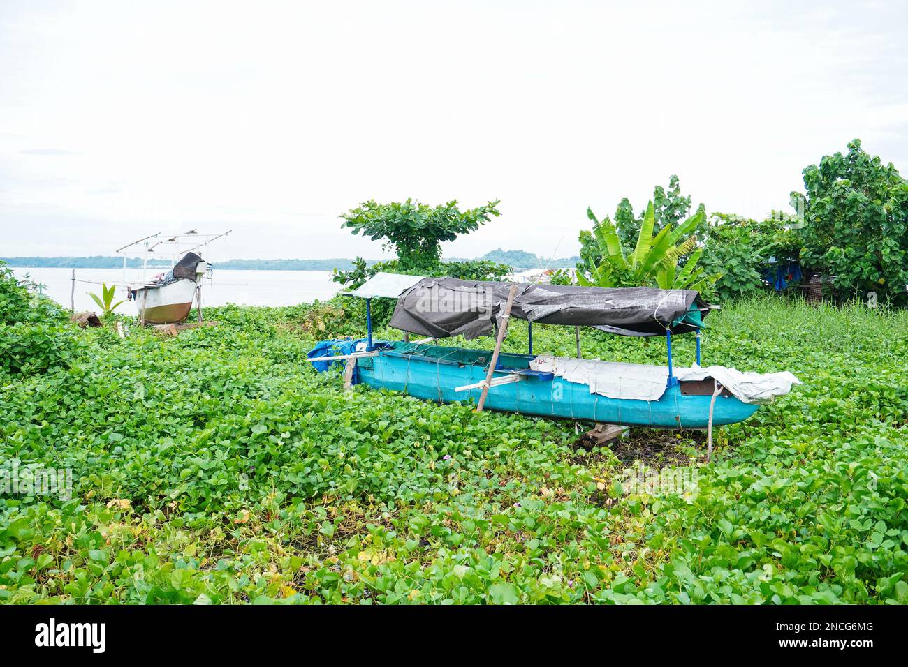 Blue canoe with leaves boat hi-res stock photography and images - Alamy