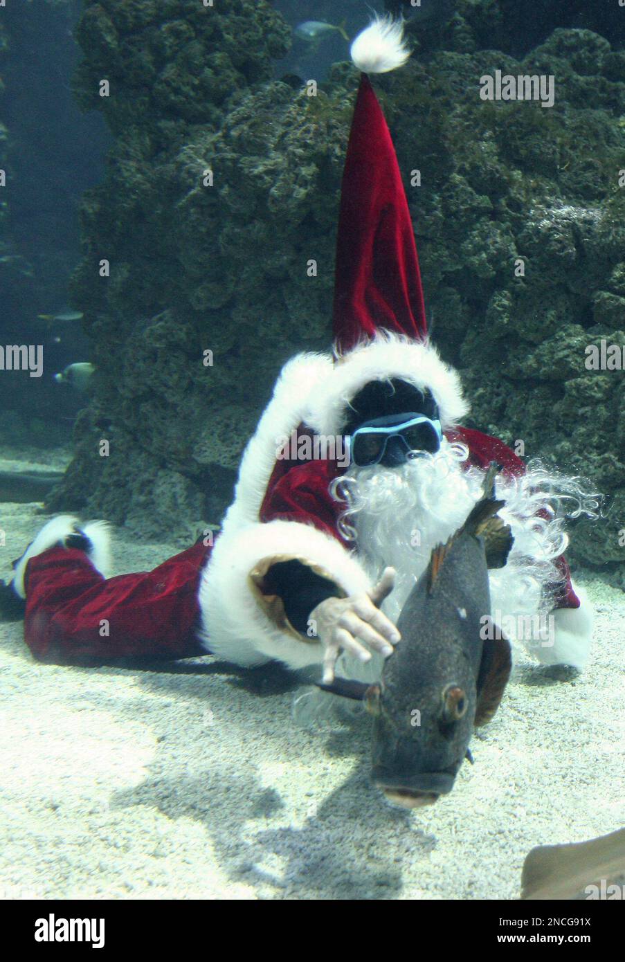 Four times Worldâ€™s Record man in free immersion, Pierre Frolla of ...