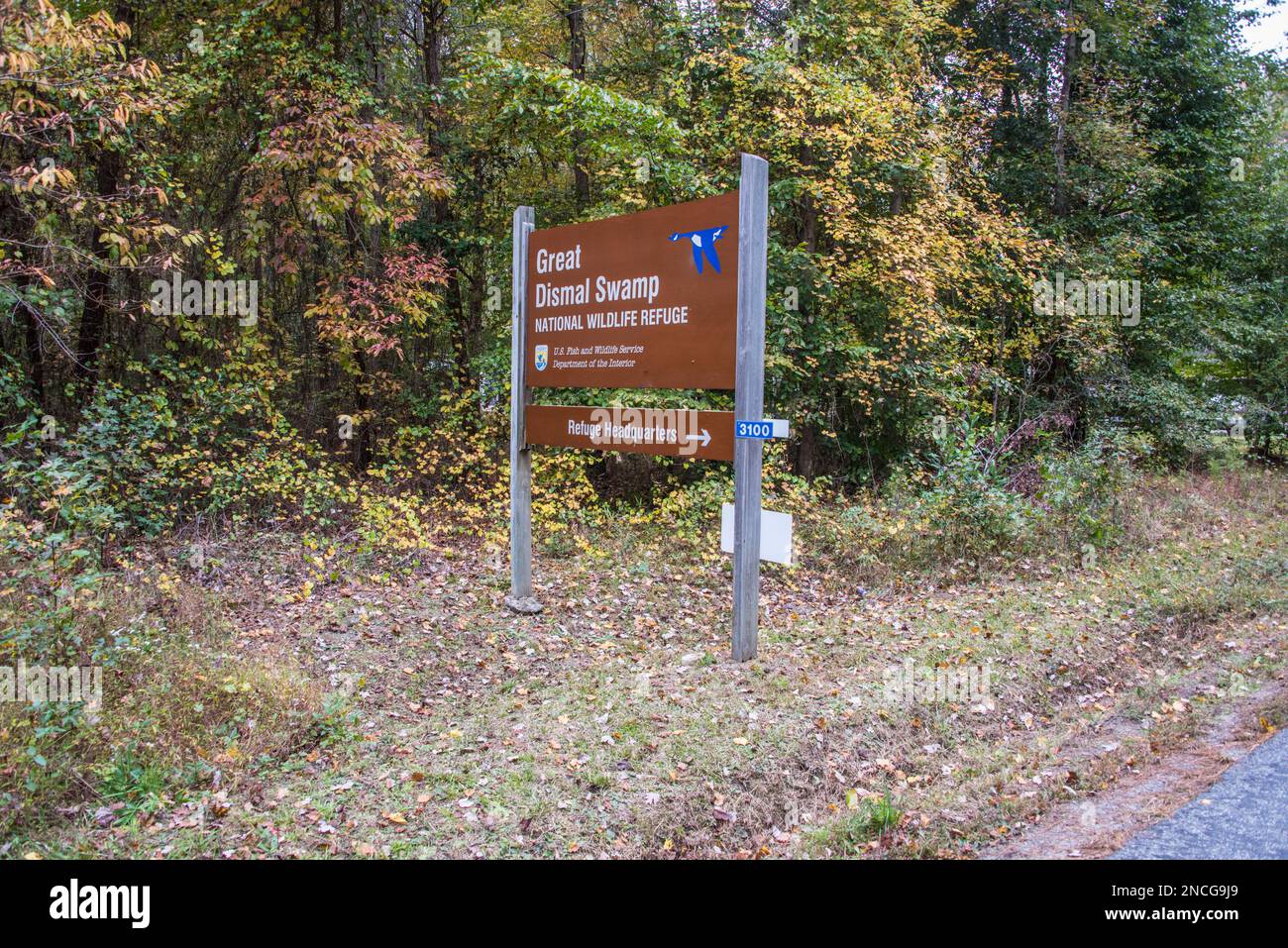 Scenes and signs from Great Dismal Swamp National Wildlife Refuge ...