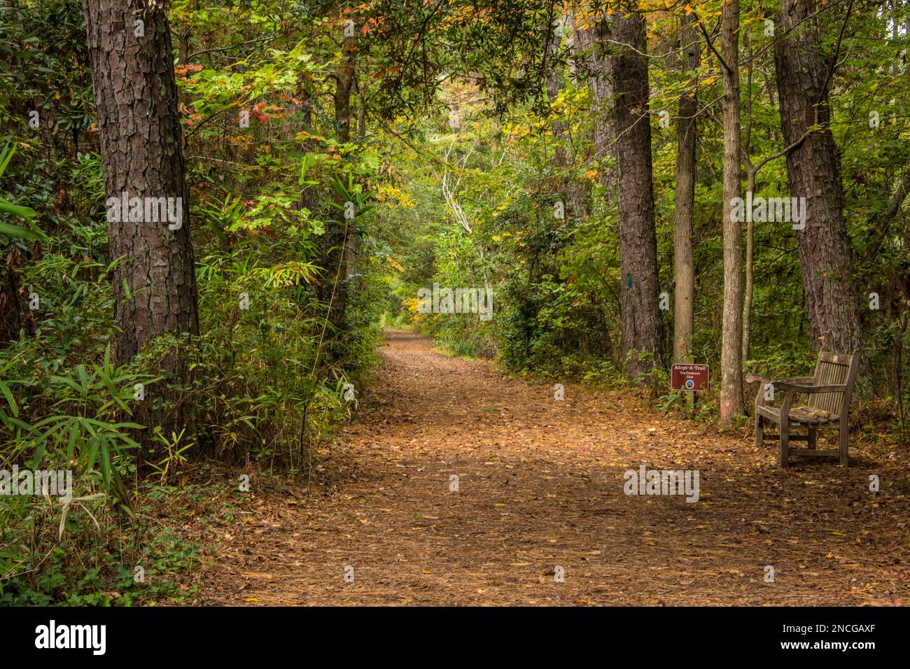Scenes and signs from Great Dismal Swamp National Wildlife Refuge ...