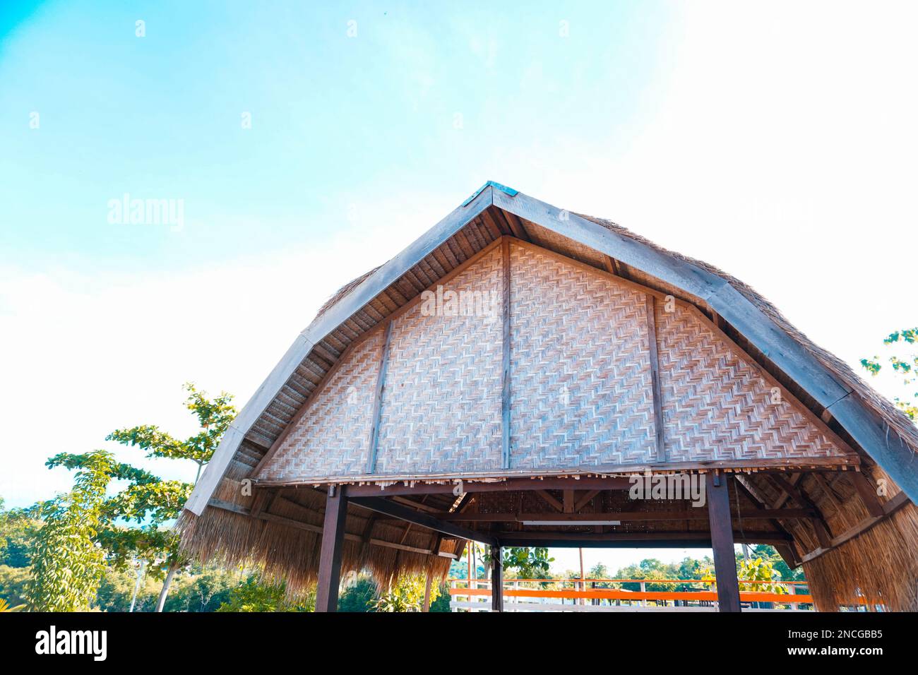 Tropical shelter buildings with palm thatch roof Stock Photo - Alamy