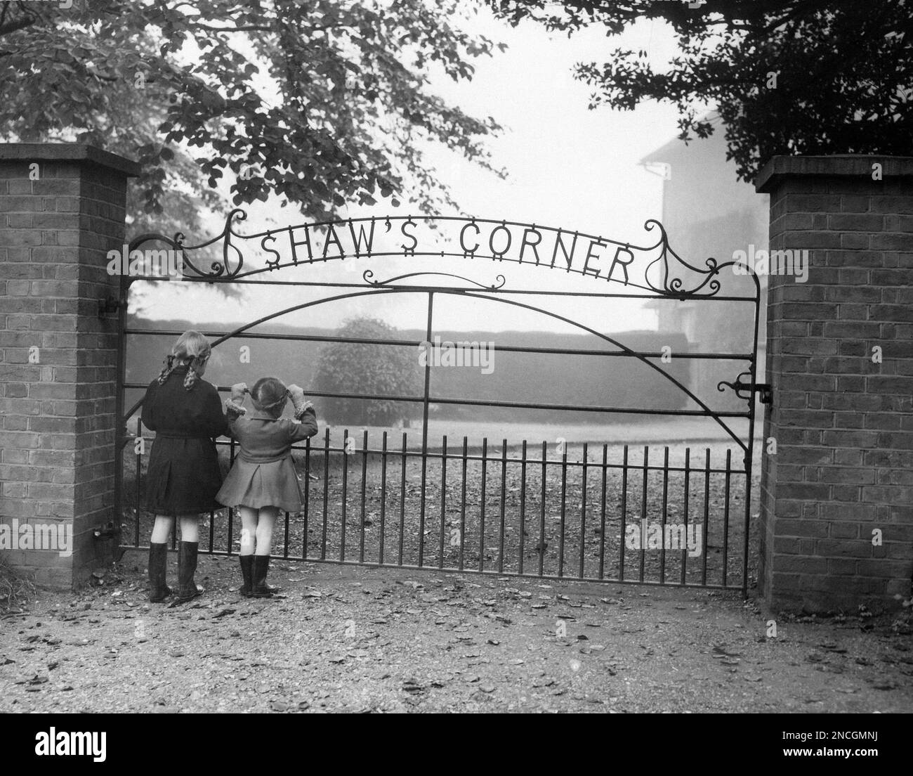George Bernard Shaw lapsed into unconsciousness, Nov. 1, 1950, and was ...