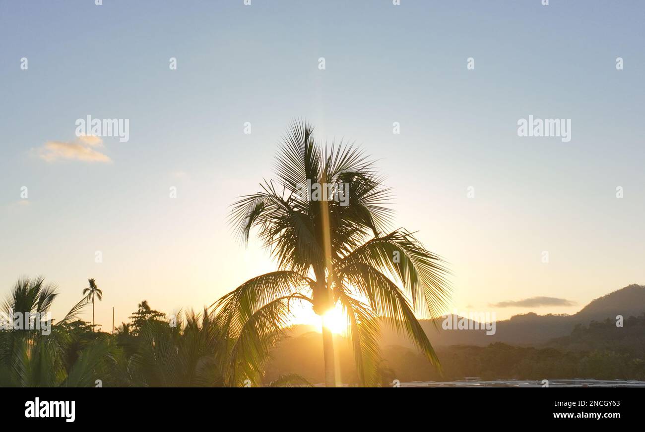 As the sun begins to dip below the horizon, casting its final golden ...