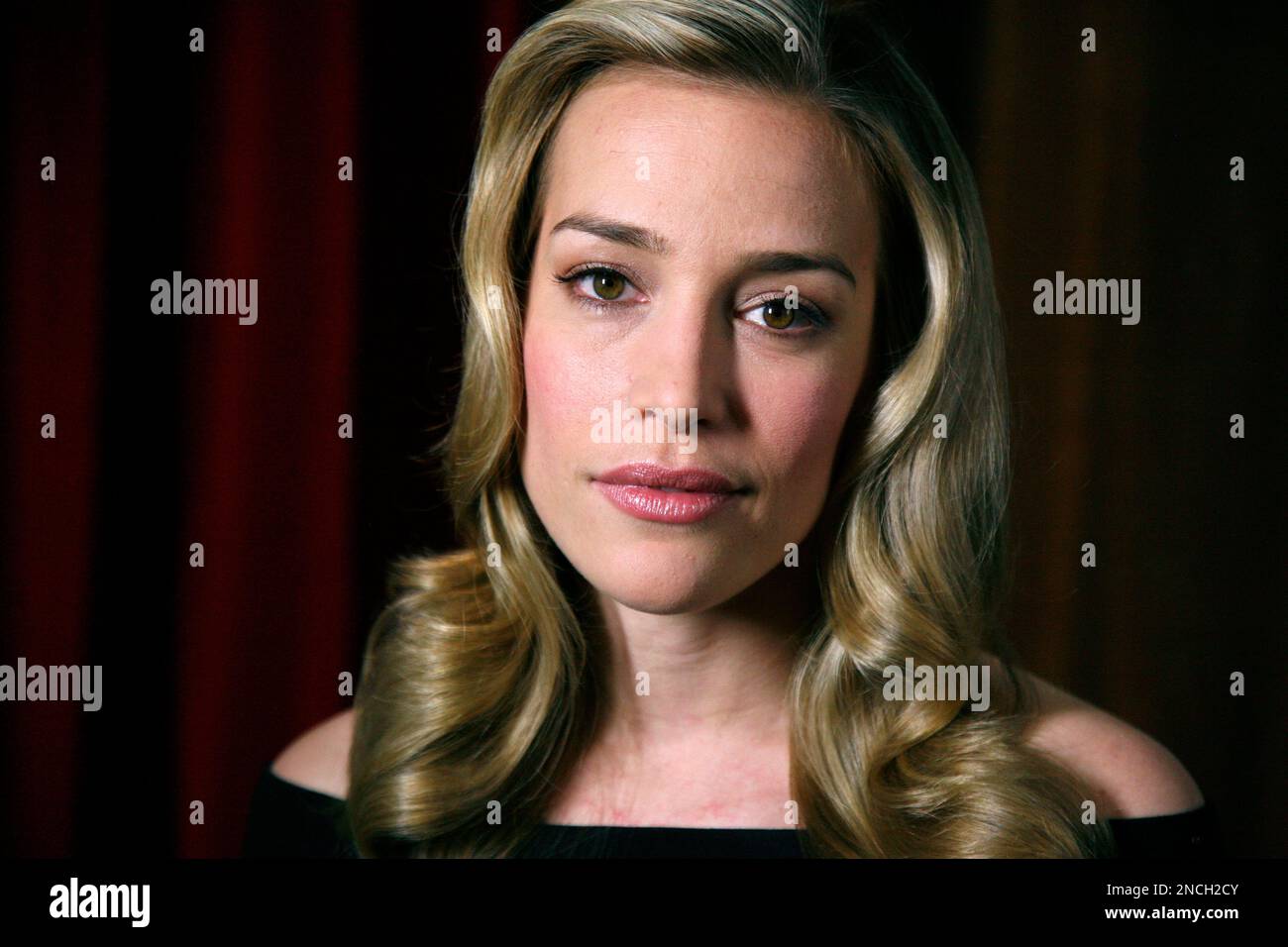 Actress Piper Perabo poses for a portrait Tuesday, Dec. 14, 2010 in New ...