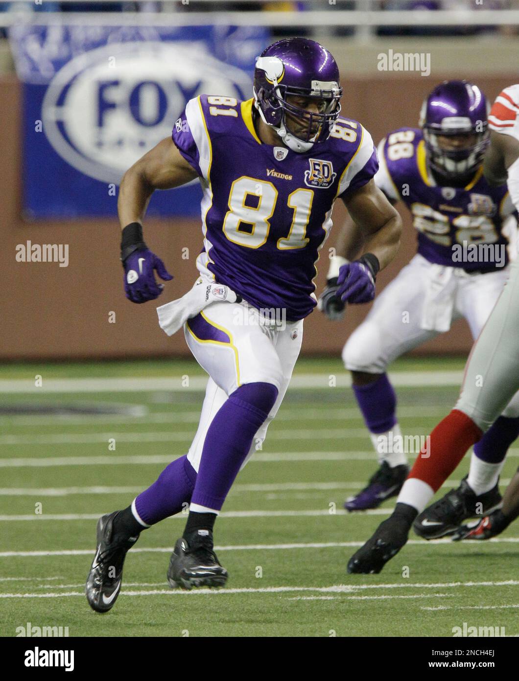 Minnesota Vikings tight end Visanthe Shiancoe (81) is seen during the ...