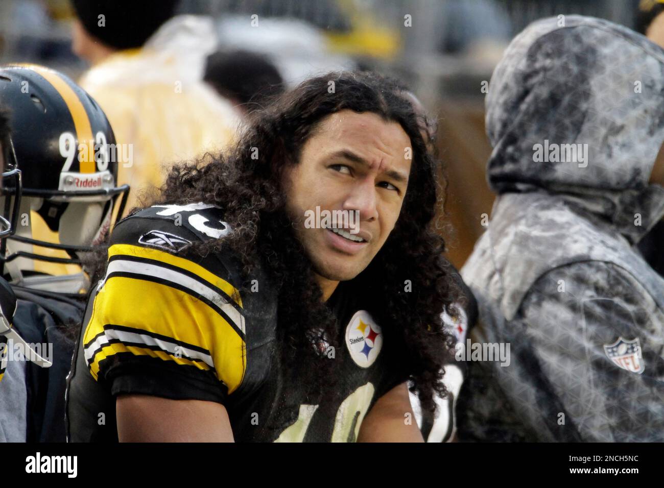 Pittsburgh Steelers safety Troy Polamalu sits on the sidelines during ...