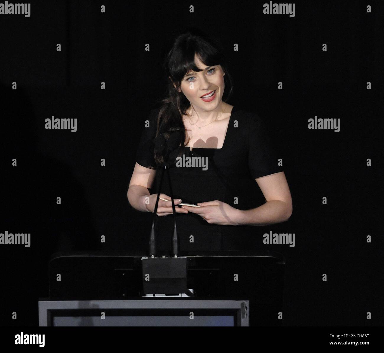 Actress Zooey Deschanel presents an award at the 2010 Hollywood Style ...