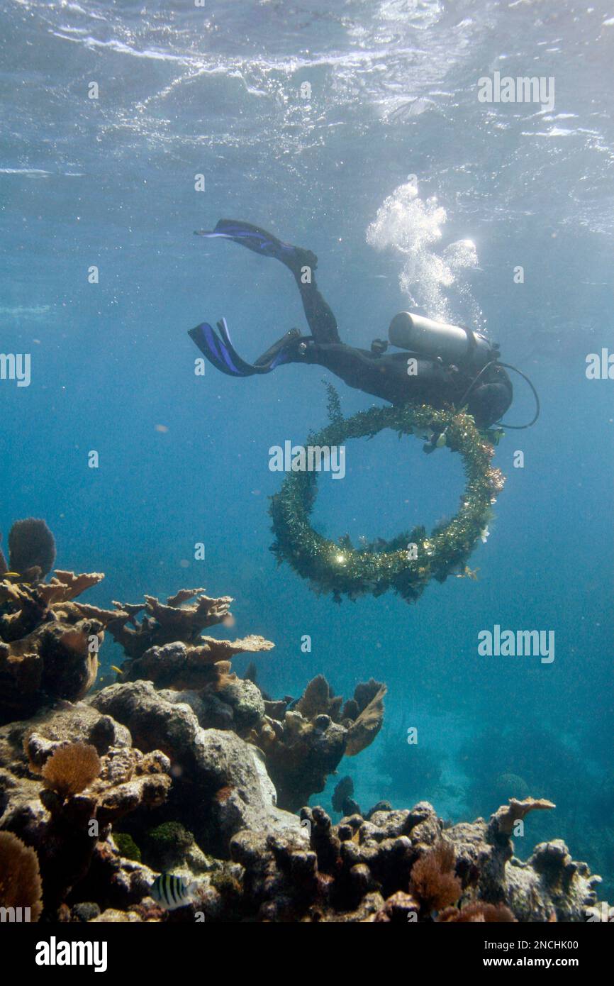John Pennekamp Coral Reef State Park manager, Pat Wells, carries a ...