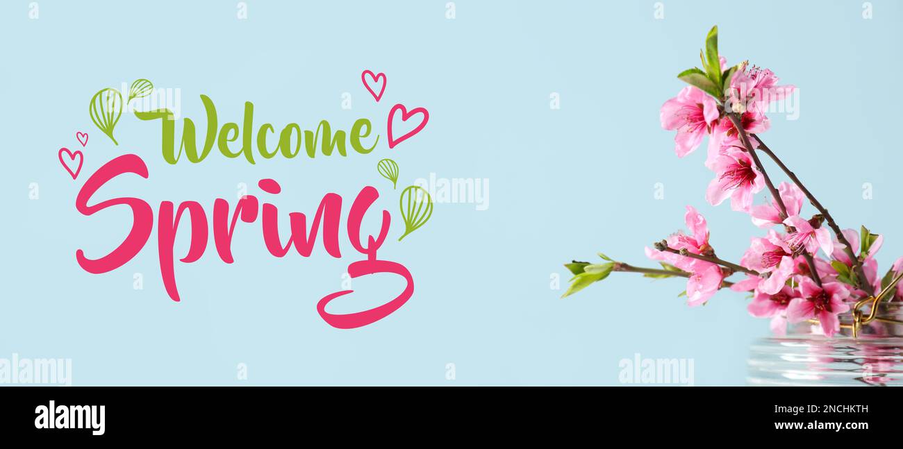 Vase with beautiful blossoming branches and text WELCOME, SPRING on ...