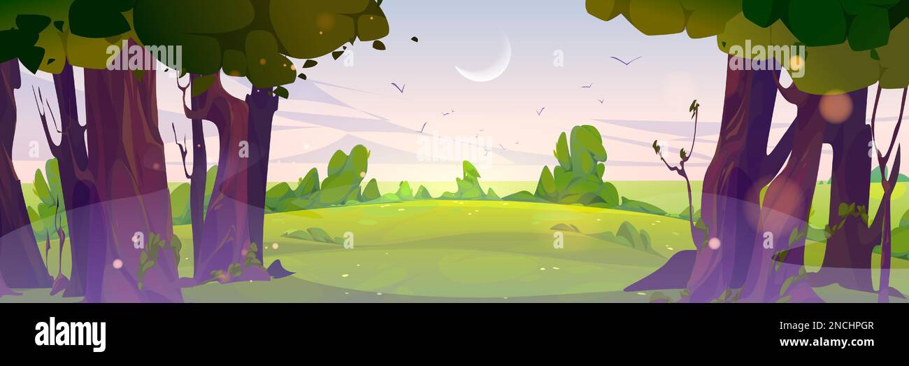 Summer sunrise forest landscape with green trees, bushes, grass. Nature ...