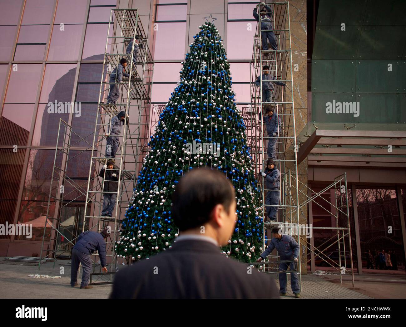 A supervisor, front, watches as workers install a giant Christmas tree ...