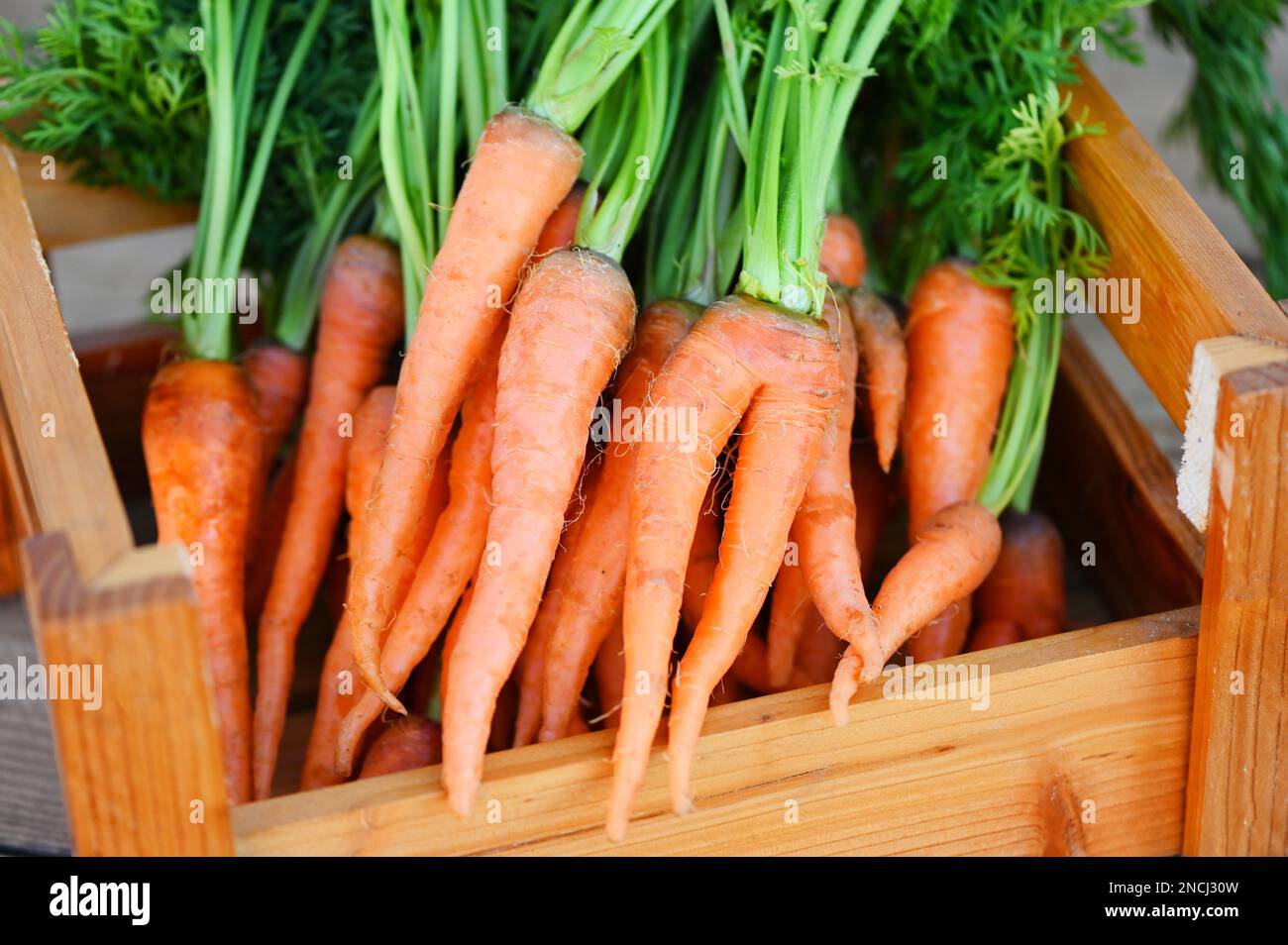 carrot on wooden box background, harvest fresh carrots for cooking food ...