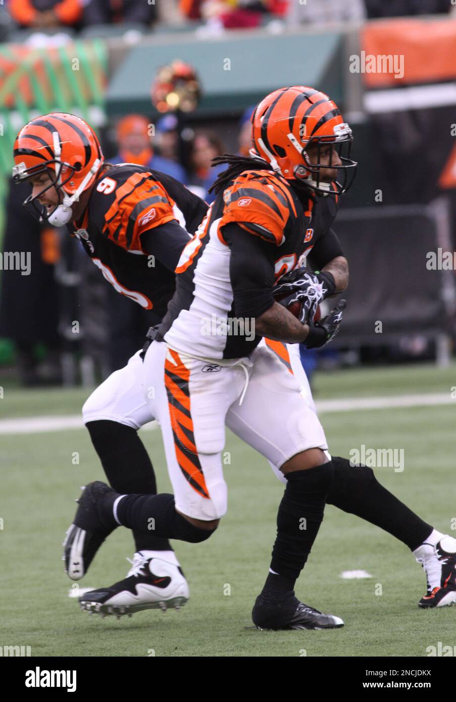 Cincinnati Bengals quarterback Carson Palmer (9) hands off to running ...