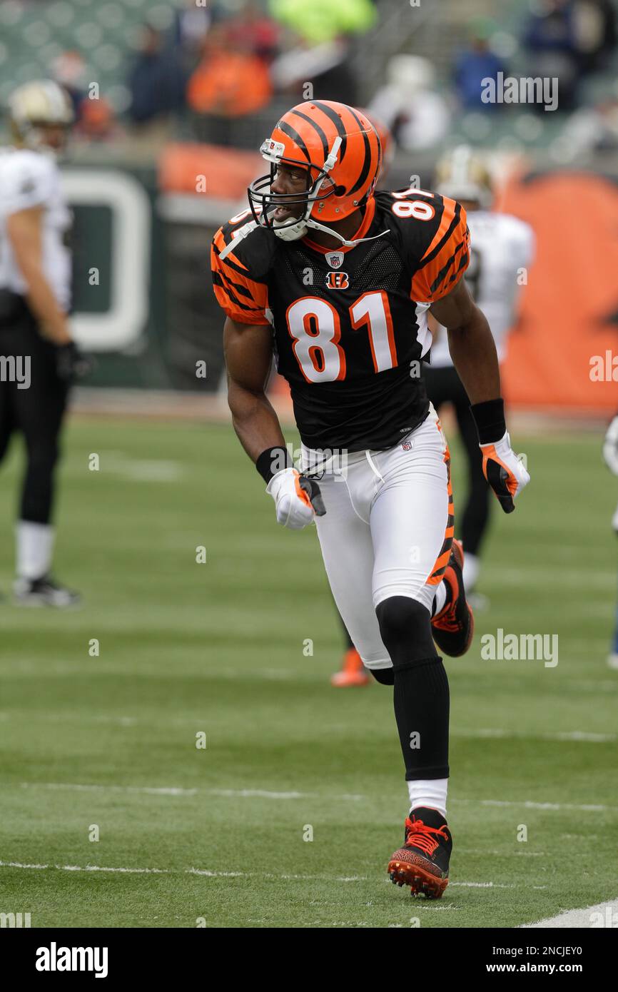 Cincinnati Bengals wide receiver Terrell Owens (81) warms up prior to ...