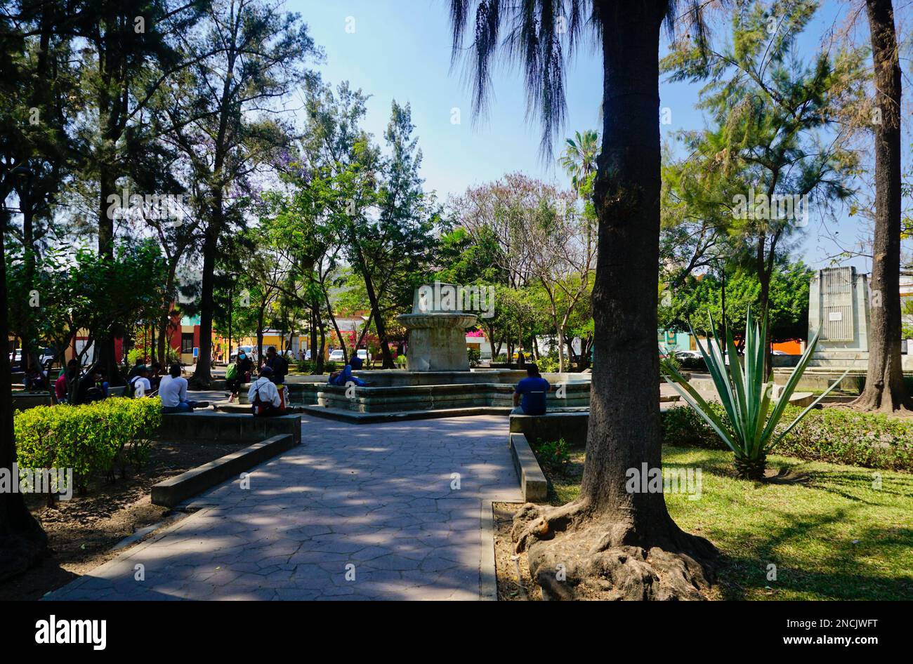 Parque Jardin Conzatti park, Oaxaca de Juárez City, Oaxaca, Mexico ...