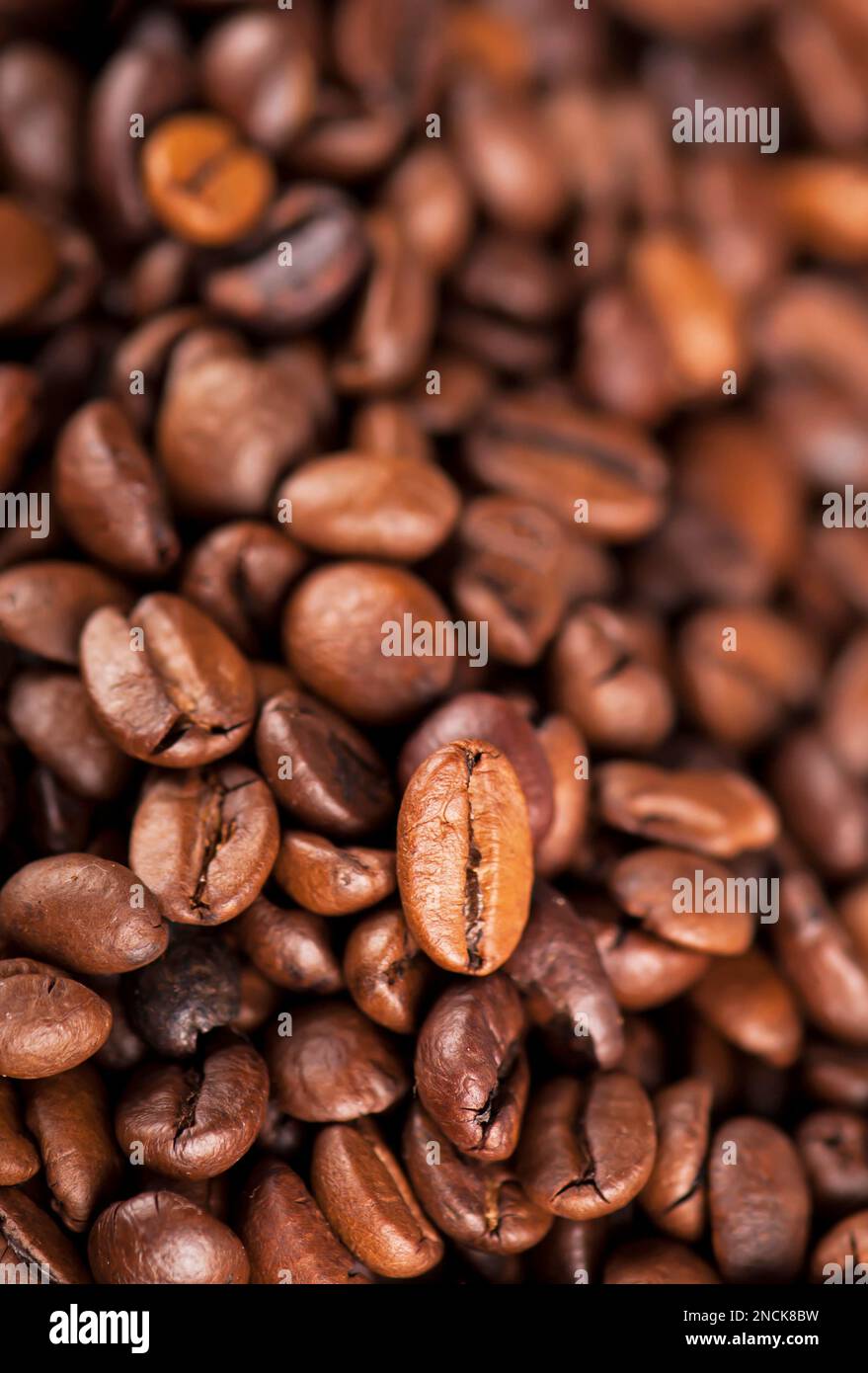 Focus pic hi-res stock photography and images - Alamy