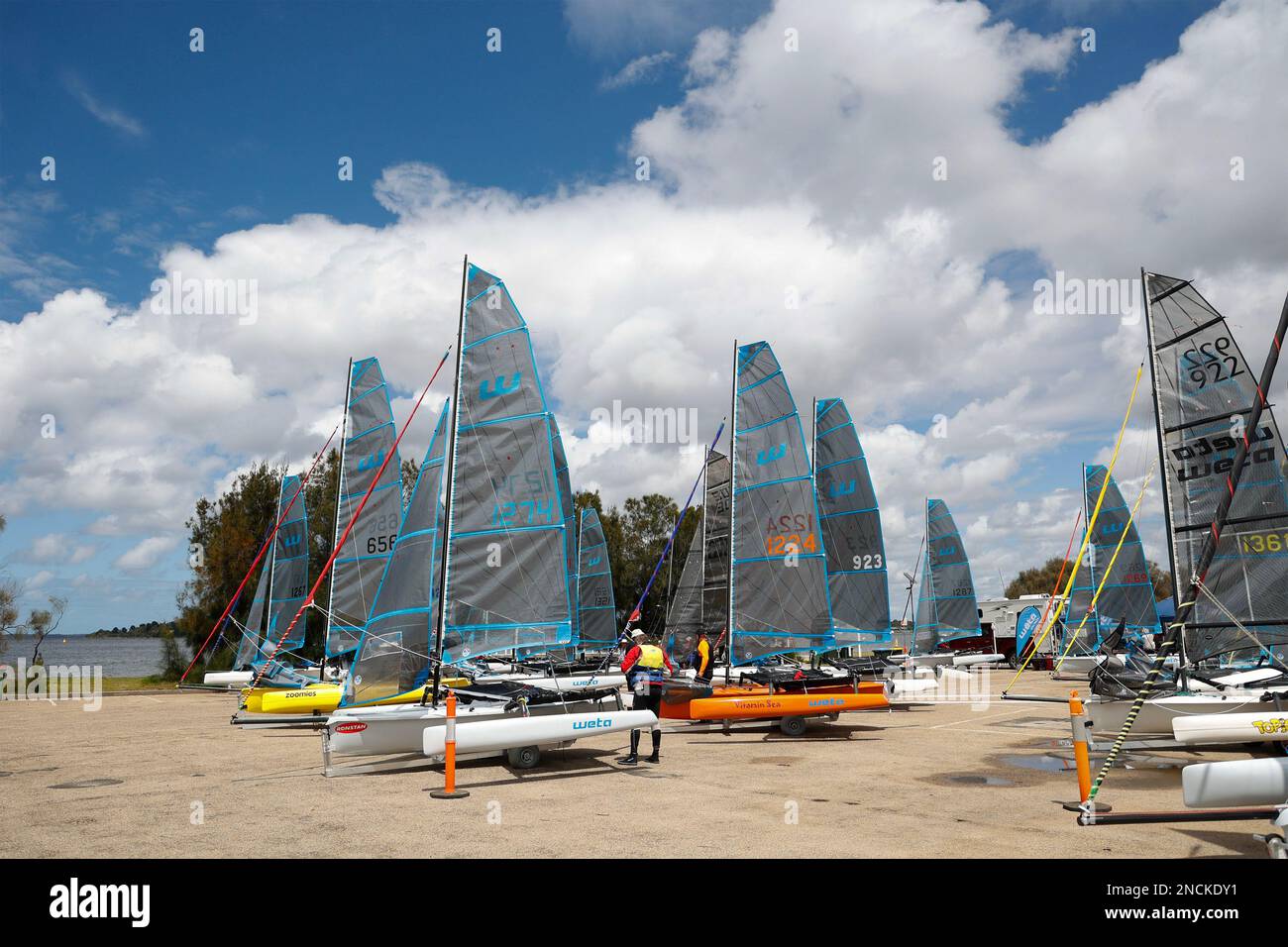 Weta boats being prepared for the race, Australian Weta Class National ...