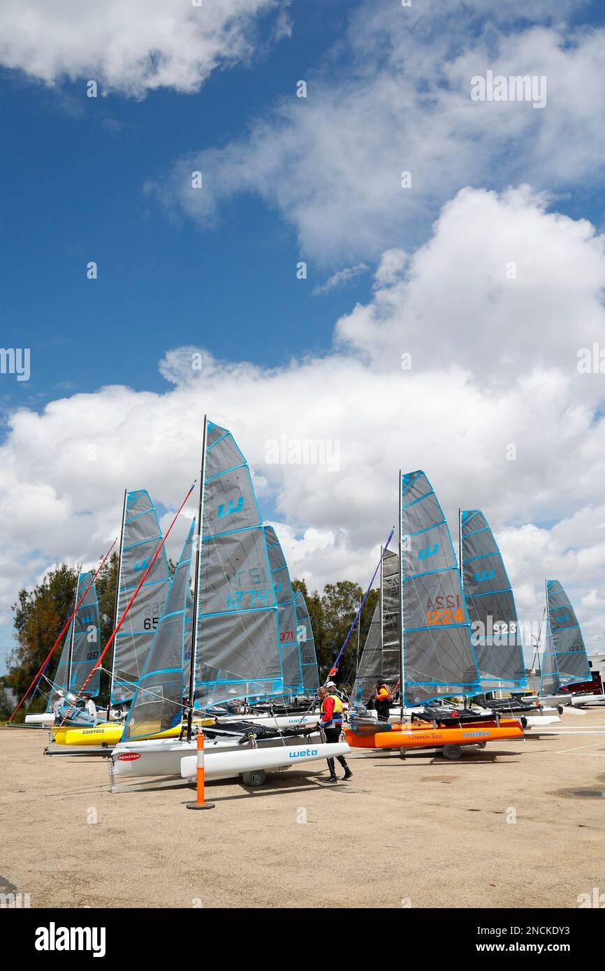 Weta boats being prepared for the race, Australian Weta Class National ...
