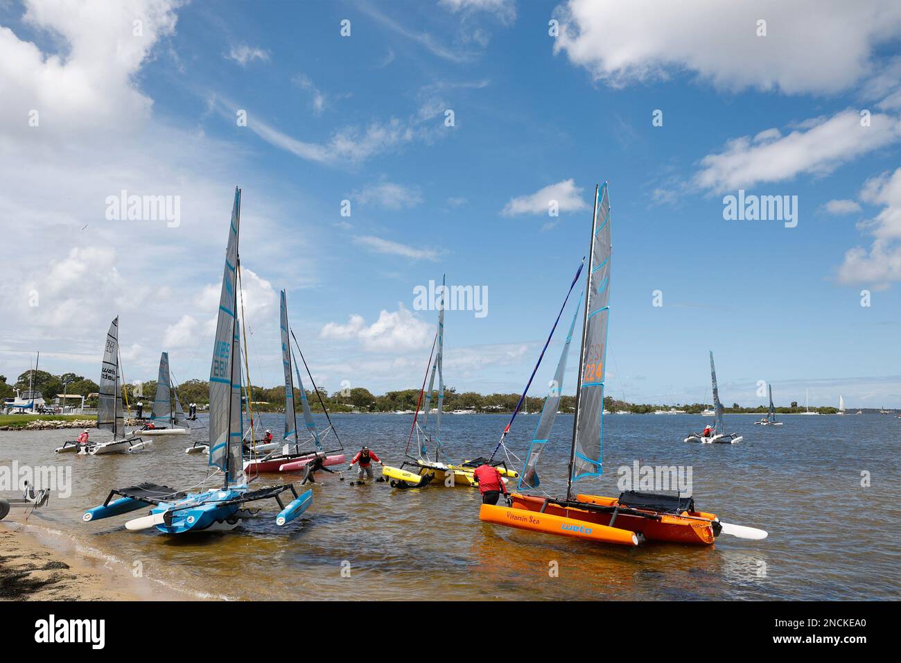 Weta boats in the water getting ready for the race, Australian Weta ...