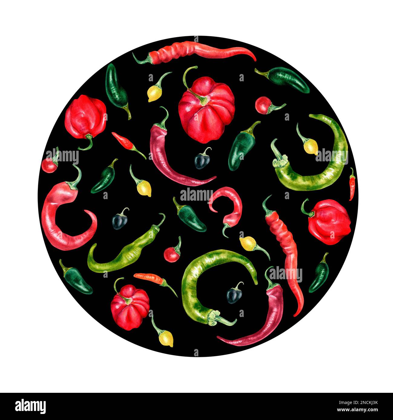Circle of various hot peppers watercolor illustration isolated on black ...