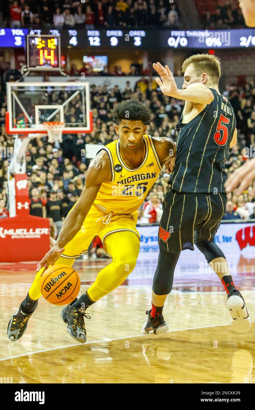 MADISON, WI - FEBRUARY 14: Michigan guard Jace Howard (25) tries to get ...
