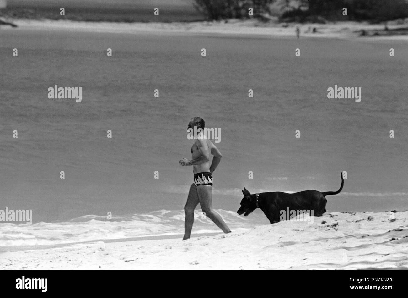 The Shah of Iran, Mohammad Reza Pahlavi and a huge black dog make for ...