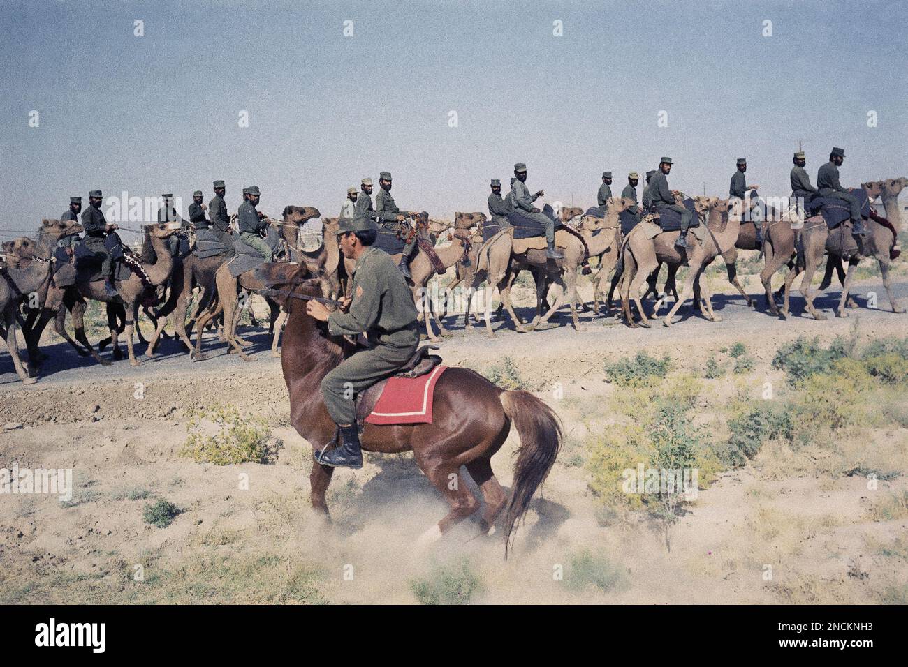 Troops of the Iran armed forces ride horses and camels during a ...